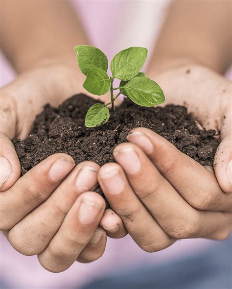 A ‘green Development