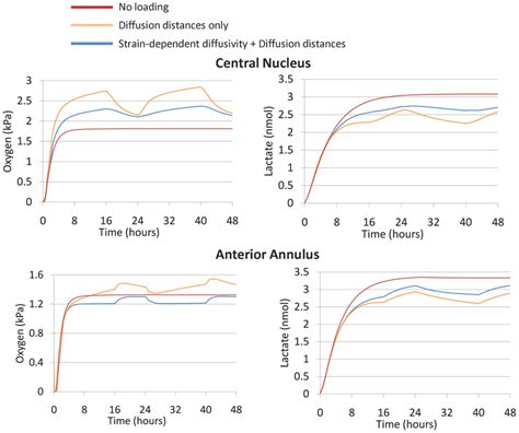 Effect Of Strain Dependent Diffusivity And Diffusion Distances On