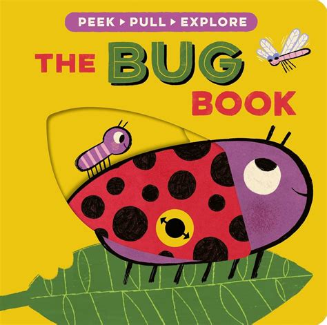 The Bug Book By Becky Davies Board Book 9781801047562 Buy Online At