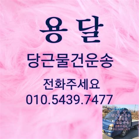 용달 당근물건운송 각종화물 운송 대전광역시 유성구 전민동 용달이사용달화물 당근 비즈 소식