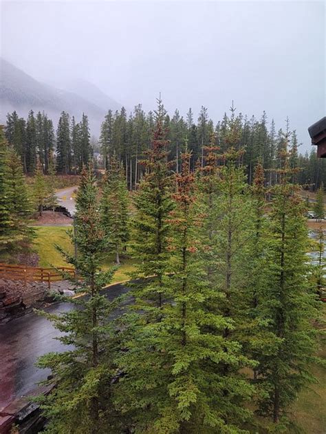 Worldmark Canmore Banff Updated 2023 Prices Reviews And Photos