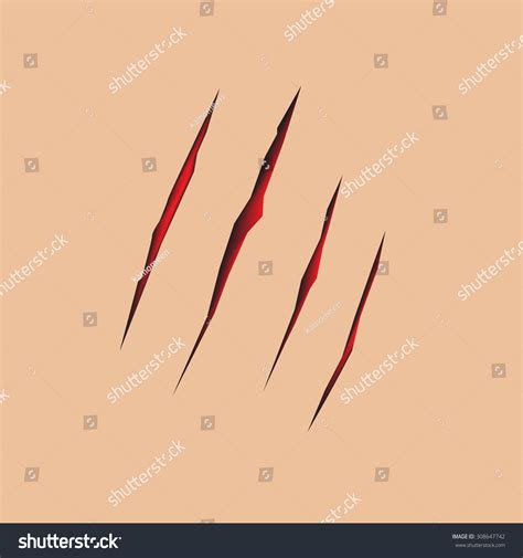 Zombie Scratch Vector Shutterstock