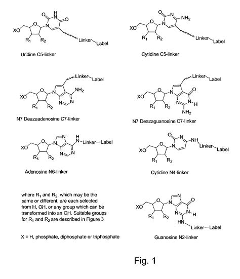 Bioreactor Fermenter Combinations Patented Technology Retrieval Search Results Eureka Patsnap