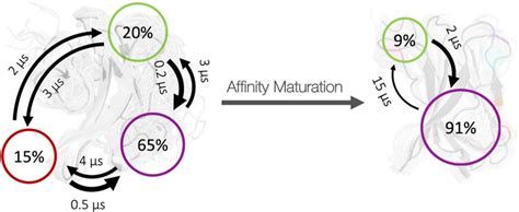 Markov State Model With Respective State Probabilities And Transition Download Scientific