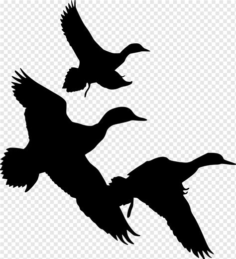 Flying Duck Silhouette Image Elegant Minimalist Art For Design Projects