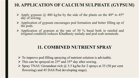 Production Technology Of Groundnut Pptx