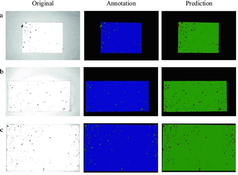 Comparison Of The Segmentation Results In Different Background Download Scientific Diagram
