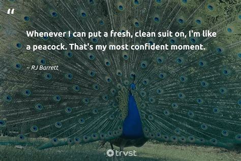 30 Peacock Quotes To Inspire Beauty And Confidence
