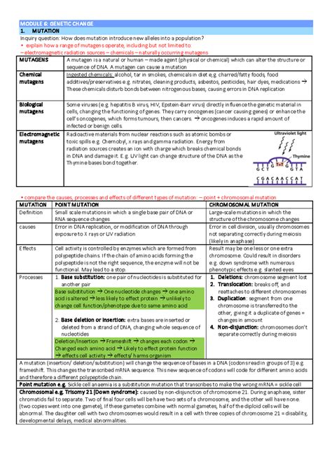 Mod 6 Pdf Version Bio Notes Mod 6 MODULE 6 GENETIC CHANGE 1 MUTATION Inquiry Question How