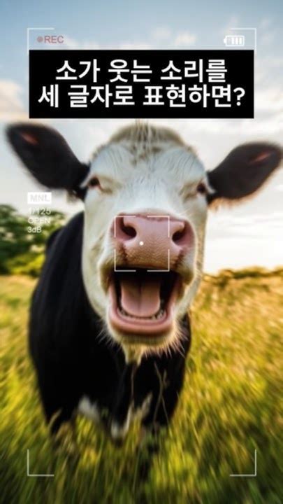 소가 웃는 소리를 세 글자로 표현하면넌센스퀴즈를 풀어보세요넌센스퀴즈 Ai 아재개그 아재개그모음 개그배틀 언어유희