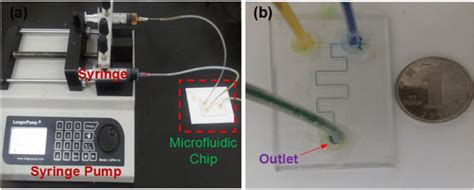 Experimental Setup Of Mixing Experiment Of Microfluidic Chip A The