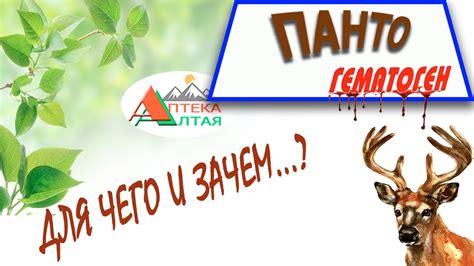 Что такое пантогематоген. - YouTube