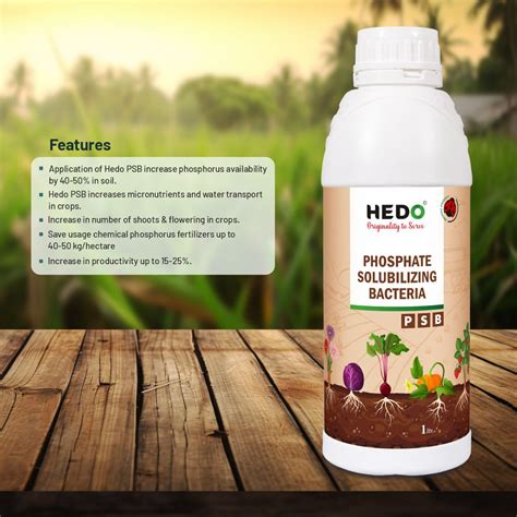 Psb Phosphate Solubilizing Bacteria Psb Liquid 1l Bio Fertilizer