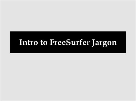intro to freesurfer jargon ppt download