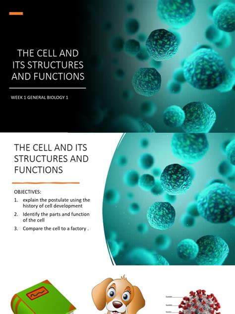week1 the cell and its structures and functions pdf cell biology