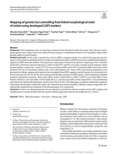 Mapping Of Genetic Loci Controlling Fruit Linked Morphological Traits Of Melon Using Developed