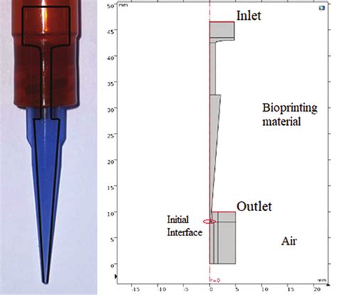 a real model b the comsol multiphysics representation of the model