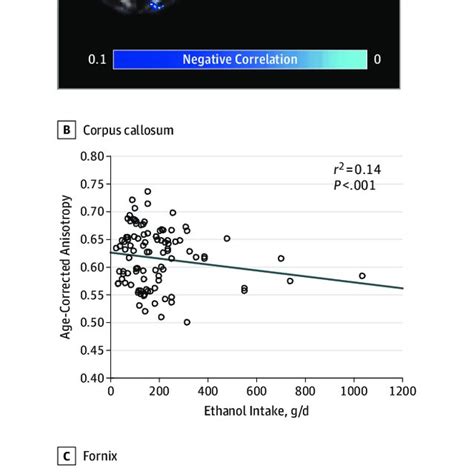 Correlation Between Diffusion Tensor Imaging Parameters And Ethanol Download Scientific Diagram