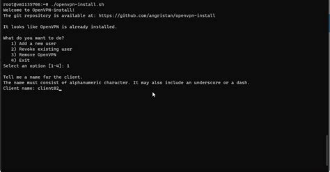 Инструкция по добавлению нового пользователя в Openvpn Полезная информация о хостинге от The