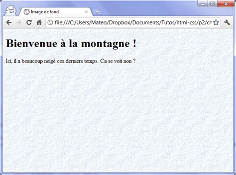 Définir La Taille Dune Image En Css Partager Taille Bonne
