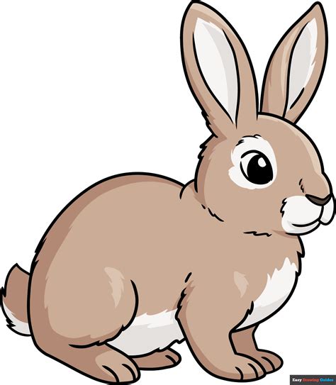 How To Draw Rabbit Shading