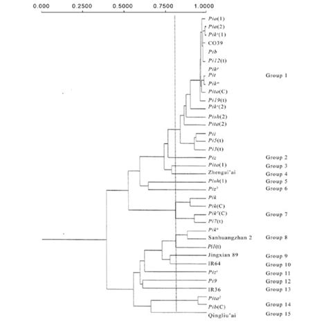 Cluster Analysis On Race Specific Resistance Of 30 Monogenic Rice Lines
