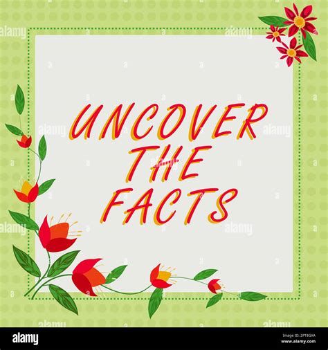 Conceptual Display Uncover The Facts Word Written On Find The Truth And Evidence Investigate To