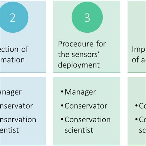 Schematic Workflow Of The Decision Making Process About The