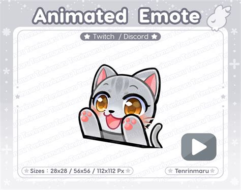 Animated Bongo Emote Cute Grey Cat Twitch Discord Youtube Kawaii Cat Kitty Cat Etsy