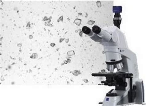 Particle Size Analyzer Model Name Number Standardized At Best Price In Mumbai