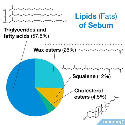 Fatty Acids Skin Lipids At Landon Artis Blog