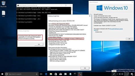 Windows 10 без активации