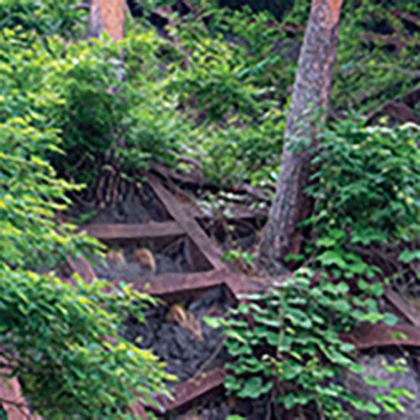 Tad Technology Architecture Design Journal Peerreview Research… Technology