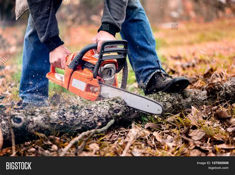 Adult Man Cutting Image Photo Free Trial Bigstock