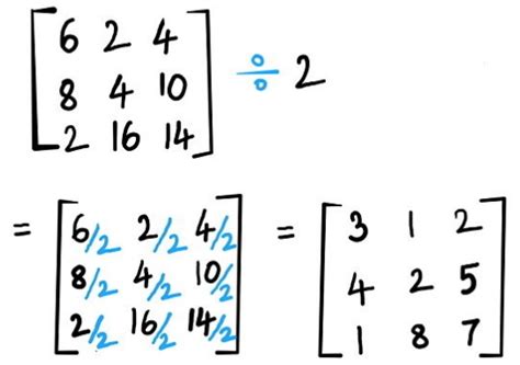 How Division Is Done In Matrices Explain Briefly Askiitians