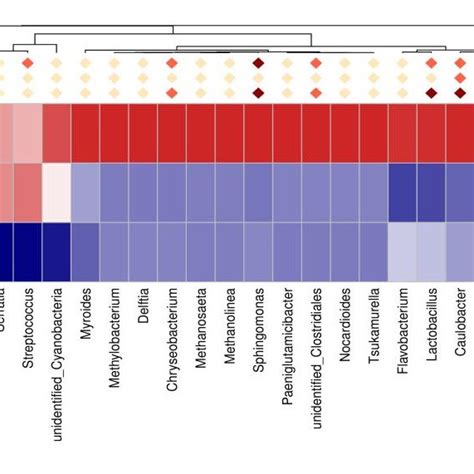 Honghai Zhangs Research Works Qufu Normal University And Other Places