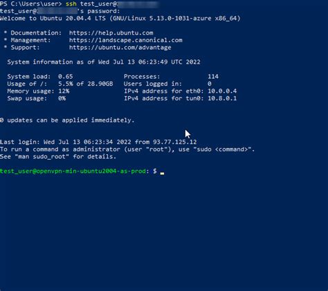 usage guidelines oracle 8 8 with openvpn server virtual pulse s r o