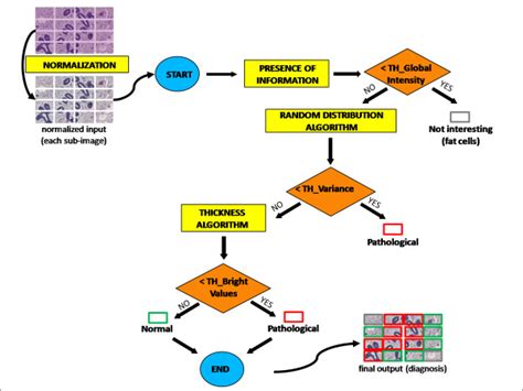 algorithm workflow simplified work flow of the developed pipeline