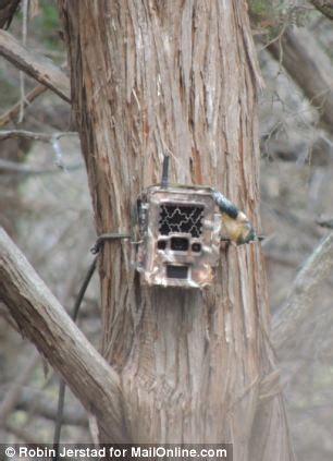 Squirrel Busters Sex Toys Sent To The Office And Secret Cameras Trained On Their Home Ex