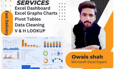 Create Dashboard Pivot Table Graphs And Macros By Owais4277 Fiverr
