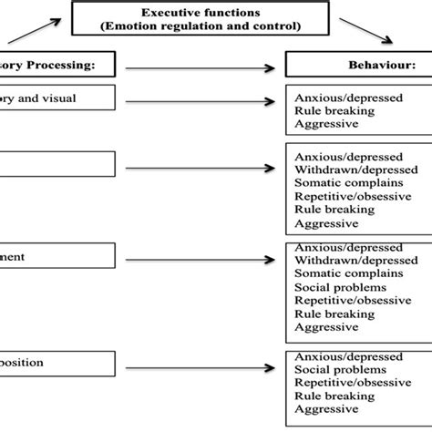 Path Figure Of The Effects Observed Between Executive Functions