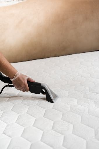 드라이 워시 클리너는 드라이 클리닝 추출 기계를 사용하여 매트리스의 먼지와 먼지를 제거합니다 드라이 클리닝 추출기의 물과 세제를 추출한 후 매트리스에 줄을 긋습니다