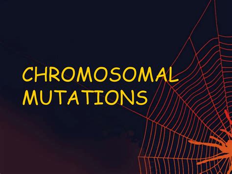 Mutation Types Chromosomal And Gene Mutation Ppt