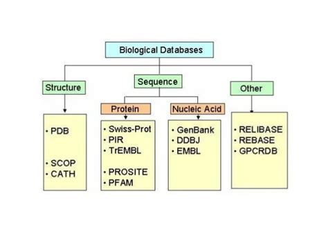 Bioinfobasics