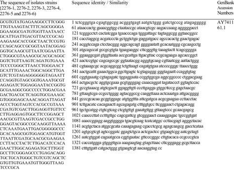the sequence identity similarity download table