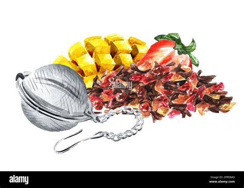 Fruit Tea And Brewing Sieve Hand Drawn Watercolor Illustration