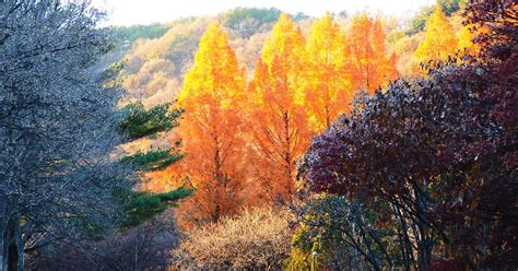 포토친구 가을과 겨울 사이