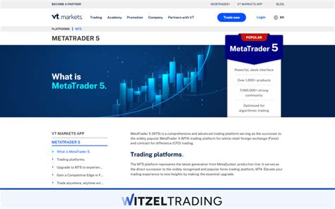 10 Best Metatrader 5 Mt5 Demo Accounts For Free