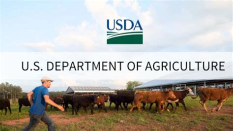 Usda Opens Enrollment For 11 Billion Farmer Bridge Assistance Program