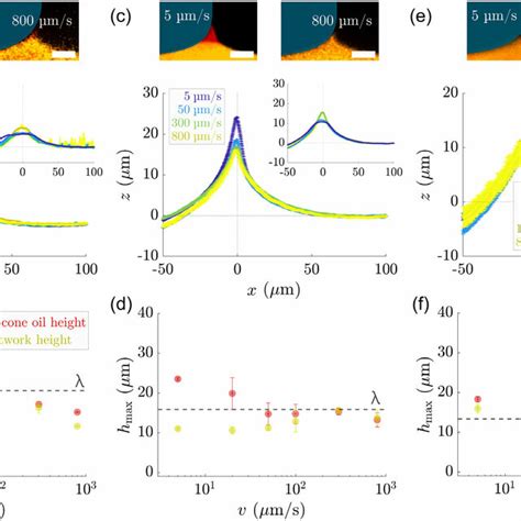 Dynamic Wetting Ridge Shape For Different Sliding Speeds And Swelling Download Scientific